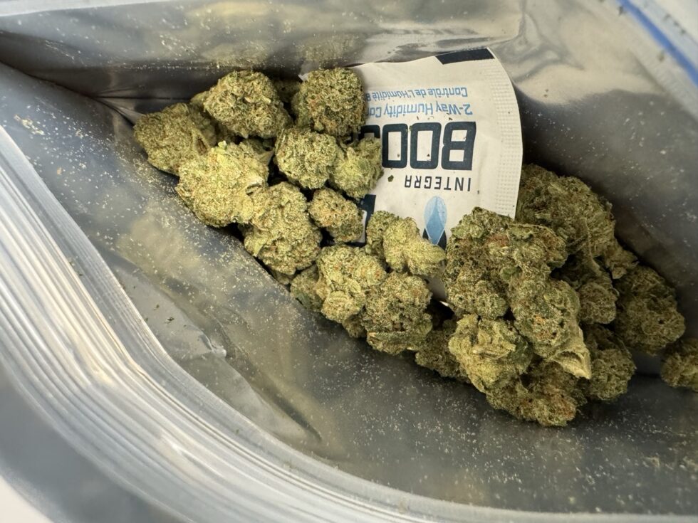 Liquid Imagination Strain Review (Back Forty) – High-THC Hybrid with 30 ...